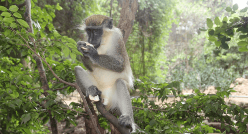 9 Top Nature Spots in Barbados